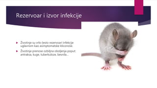 Epidemiologija | PPTX