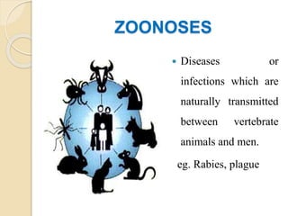 Epidemiology | PPTX