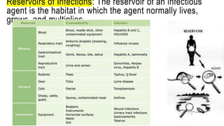 Epidemiology | PPTX