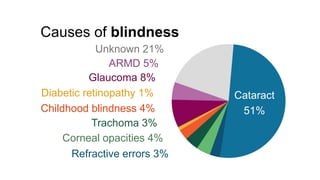Global Blindness: Epidemiology and visual impairment | PPTX