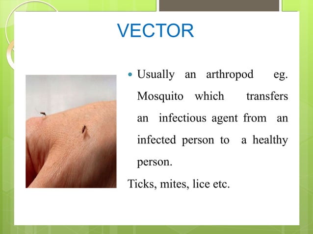 Epidemiology meaning, scope & terminology | PPTX | Infectious Diseases ...