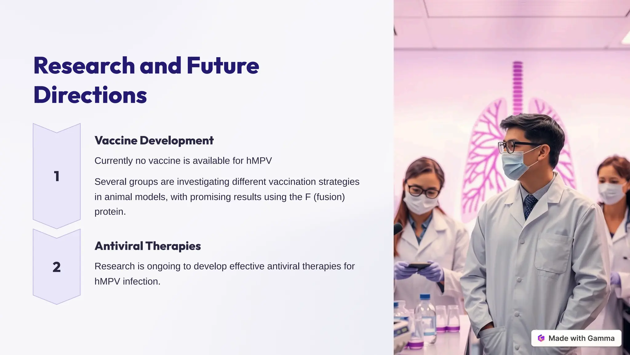 Epidemiology of human Meta PneumoVirus - hMPV | PDF