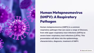 Epidemiology of human Meta PneumoVirus - hMPV | PDF