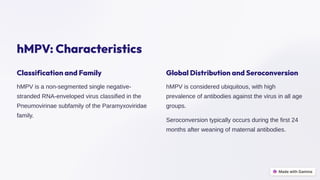 Epidemiology of human Meta PneumoVirus - hMPV | PDF