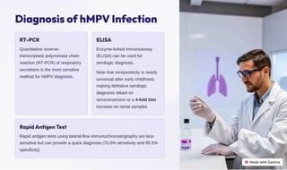 Epidemiology of human Meta PneumoVirus - hMPV | PDF