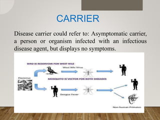 epidemiology- scopeS.pptx