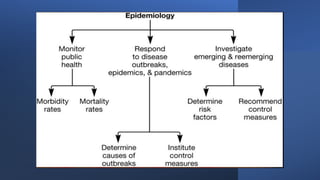 Medical diagnostic Microbiology epidemiology 2024 progress.pdf