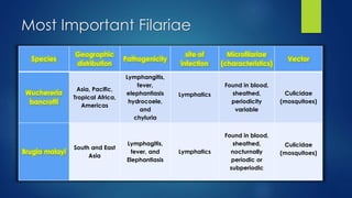 Epidemiology and control of filariasis- | PPTX