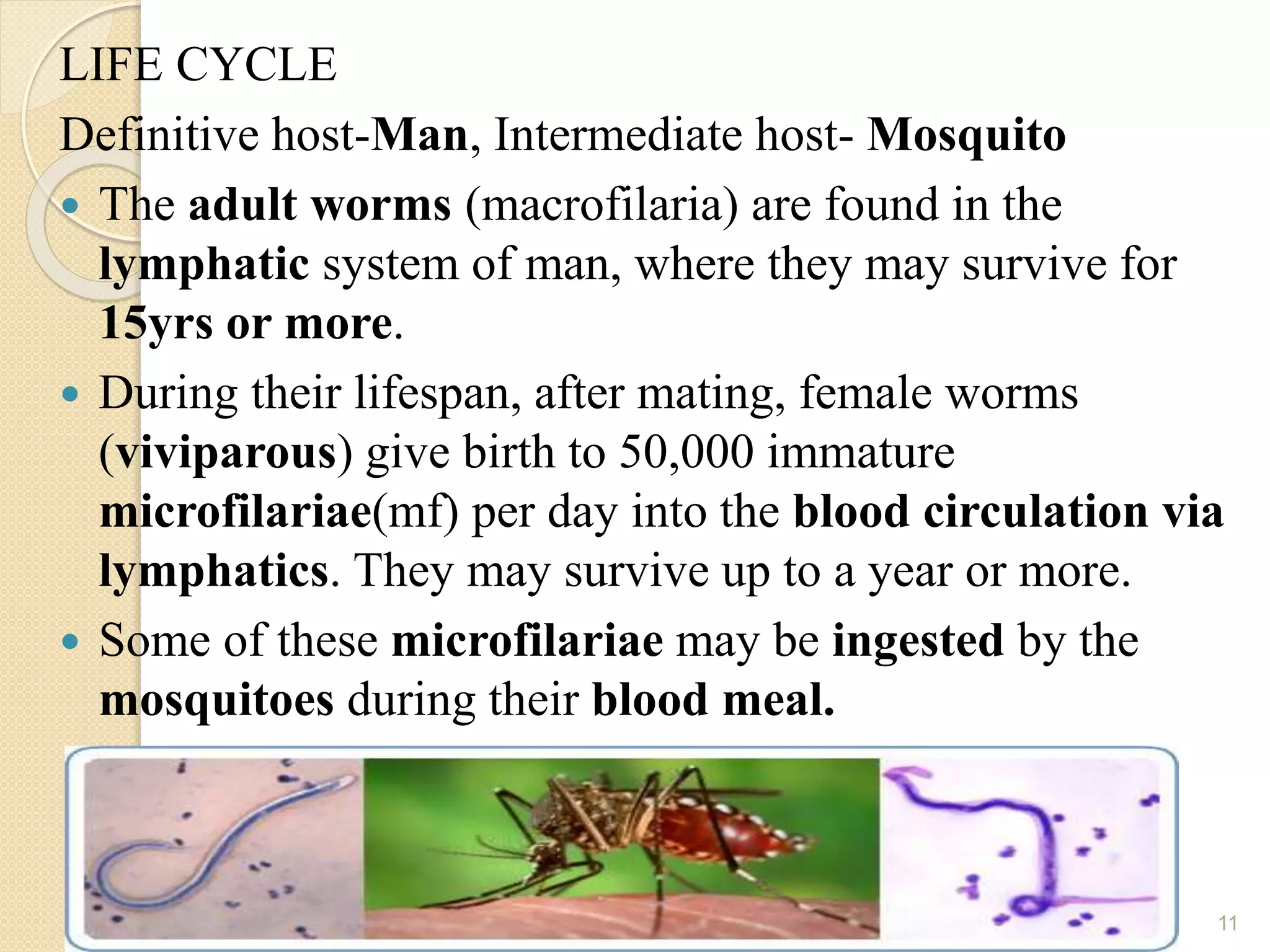 Epidemiology and control of filariasis (Lymphatic Filariasis) in India ...