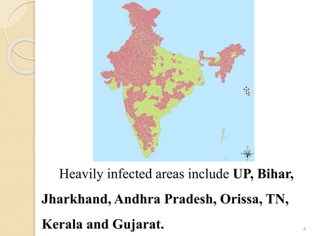 Epidemiology and control of filariasis (Lymphatic Filariasis) in India ...
