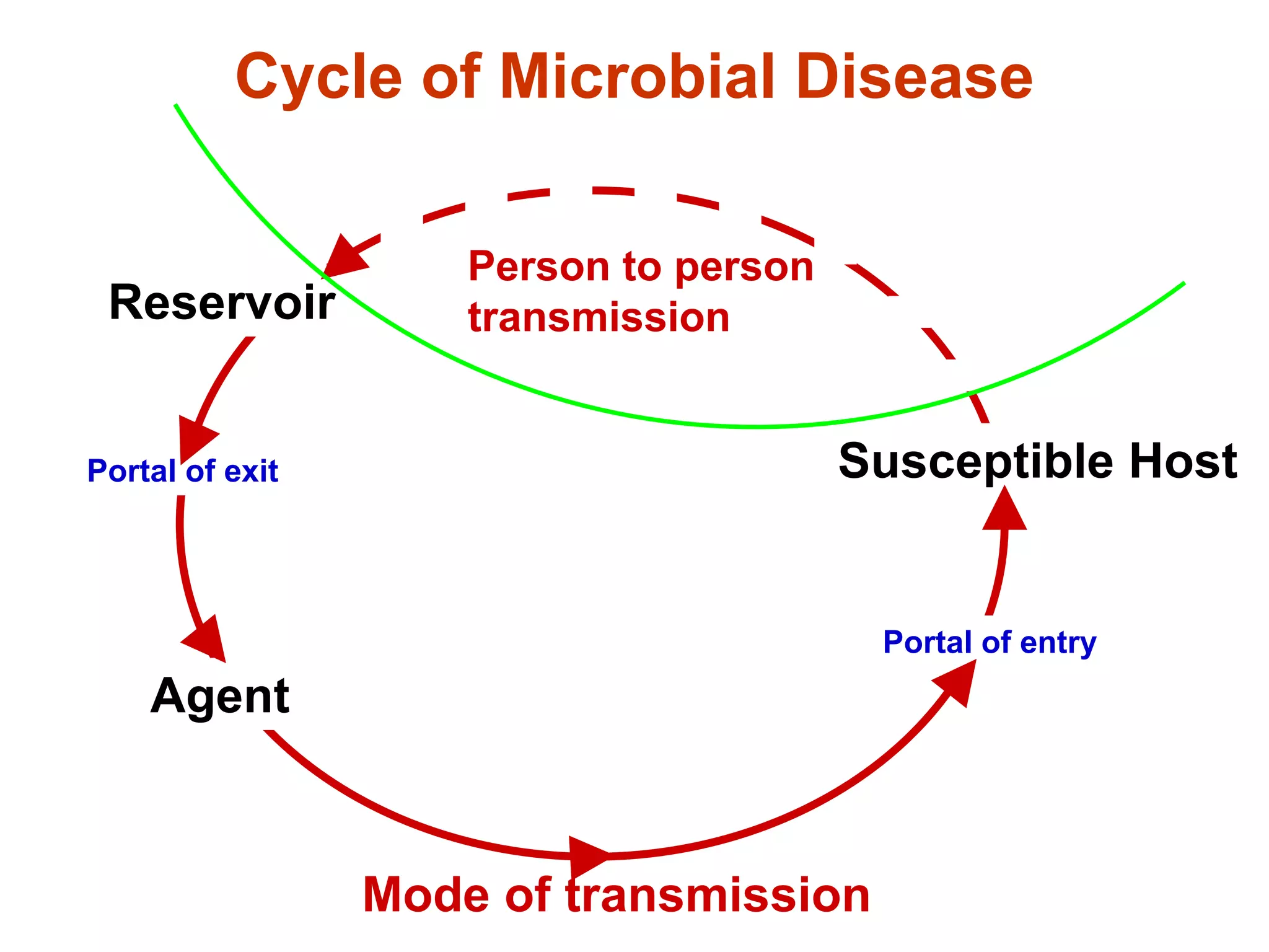 Epidemiology and cycle of microbial diseases | PPTX