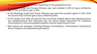 Epidemiology and Diagnosis of Mucormycosis | PPTX