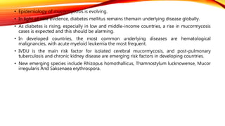 Epidemiology and Diagnosis of Mucormycosis | PPTX