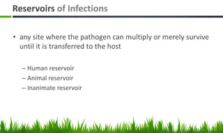 epidemiology and disease transmission2.pdf