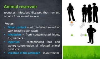 epidemiology and disease transmission2.pdf