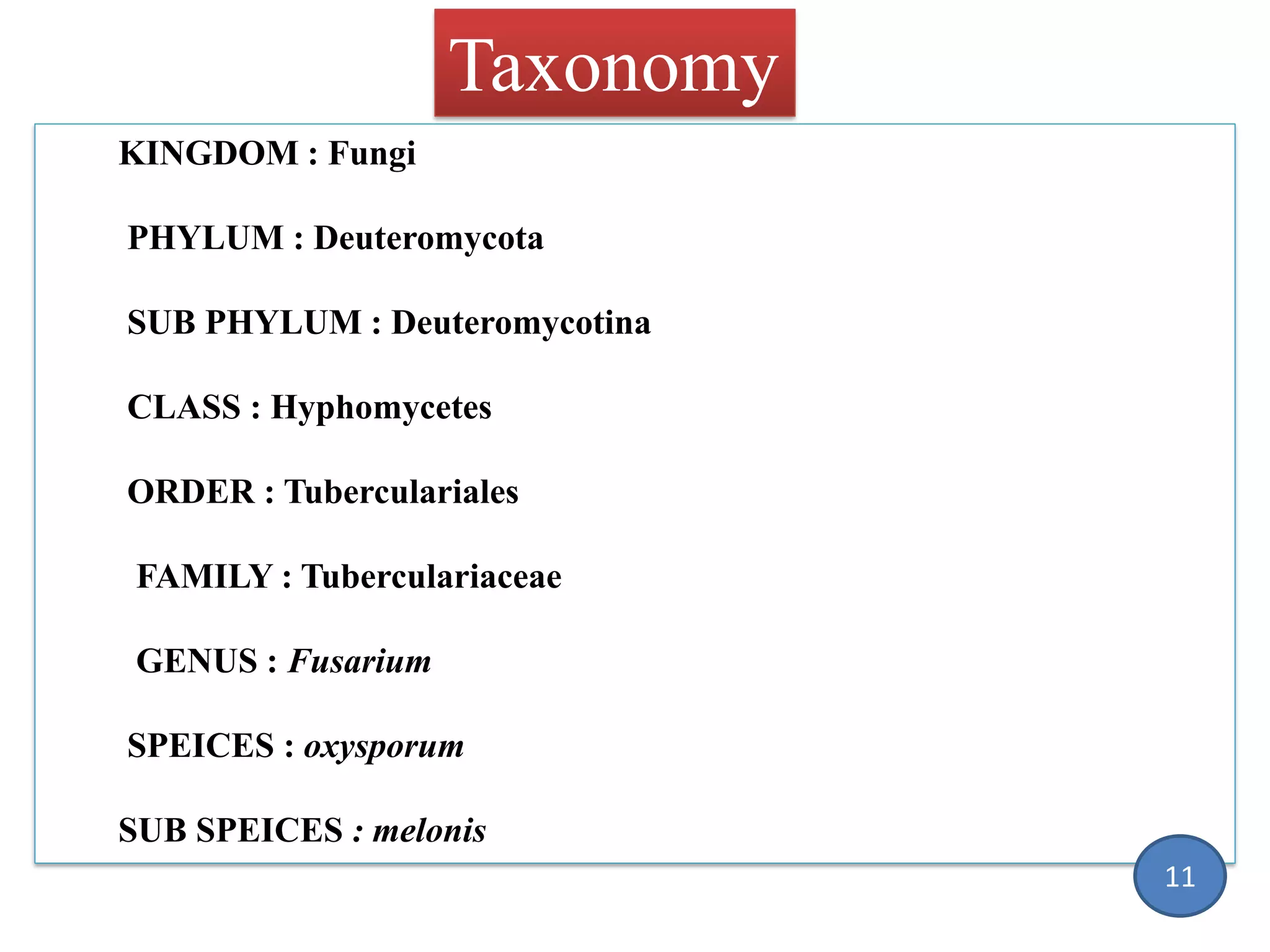 Epidemiology, etiology and management of fusarium wilt of muskmelon | PDF
