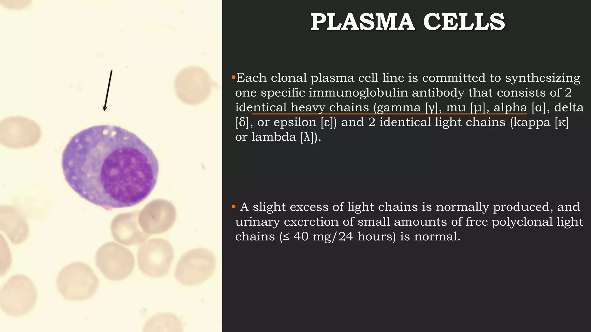 Epidemiology, Etiopathogenesis, Pathology, Staging of Plasma Cell ...
