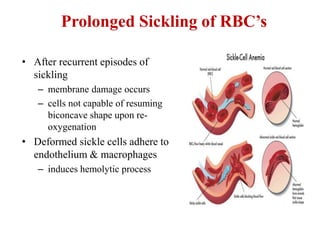 Epidemiology, Genetics, Pathophysiology.pptx