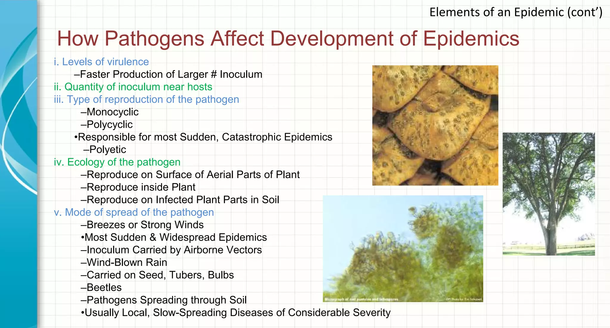 Plant Disease Epidemiology- A lecture for MS students (BAU) | PPT