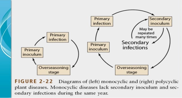 Plant Disease Epidemiology- A lecture for MS students (BAU)