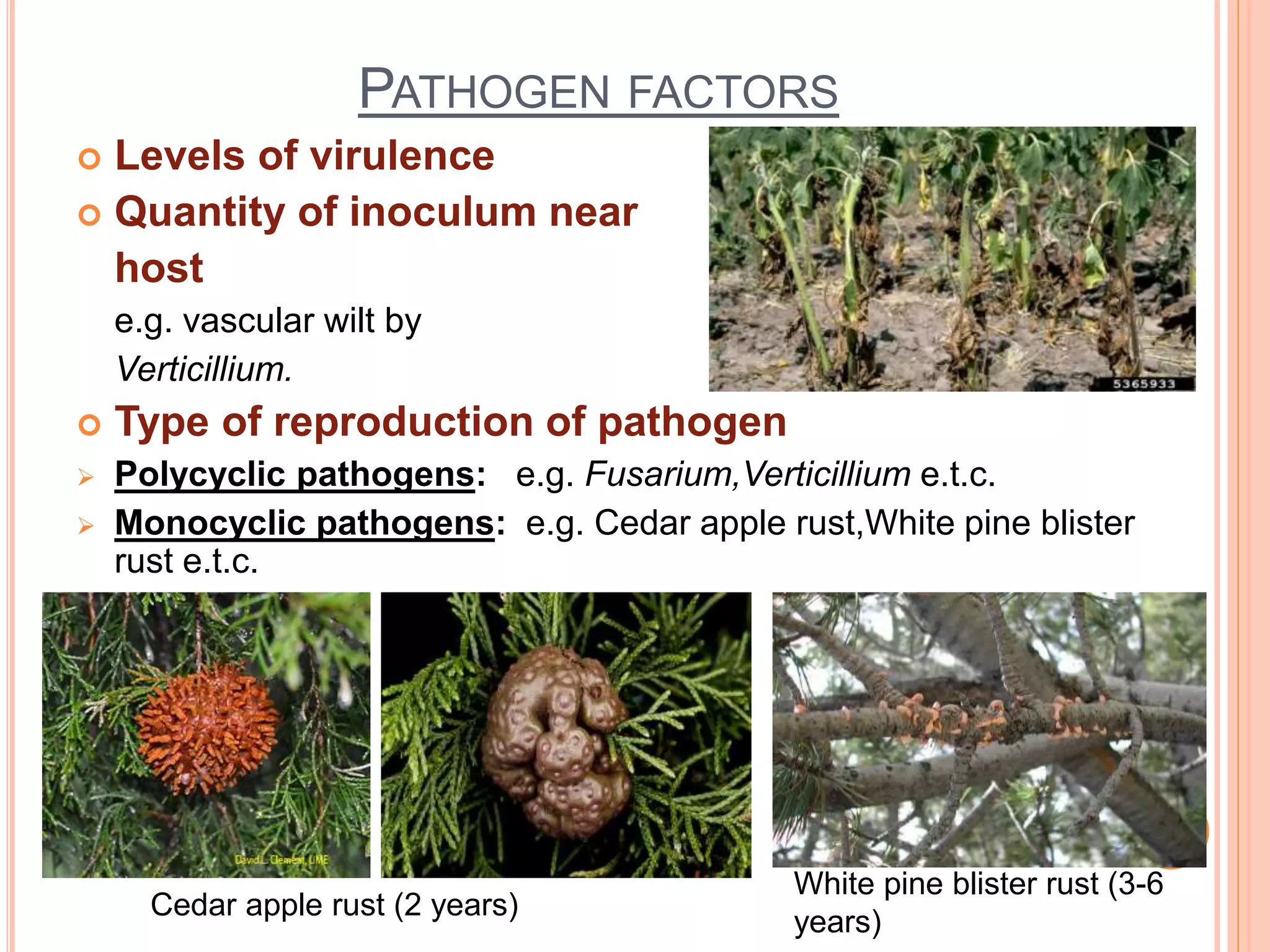 Epidemiology and plant disease forecasting | PPTX