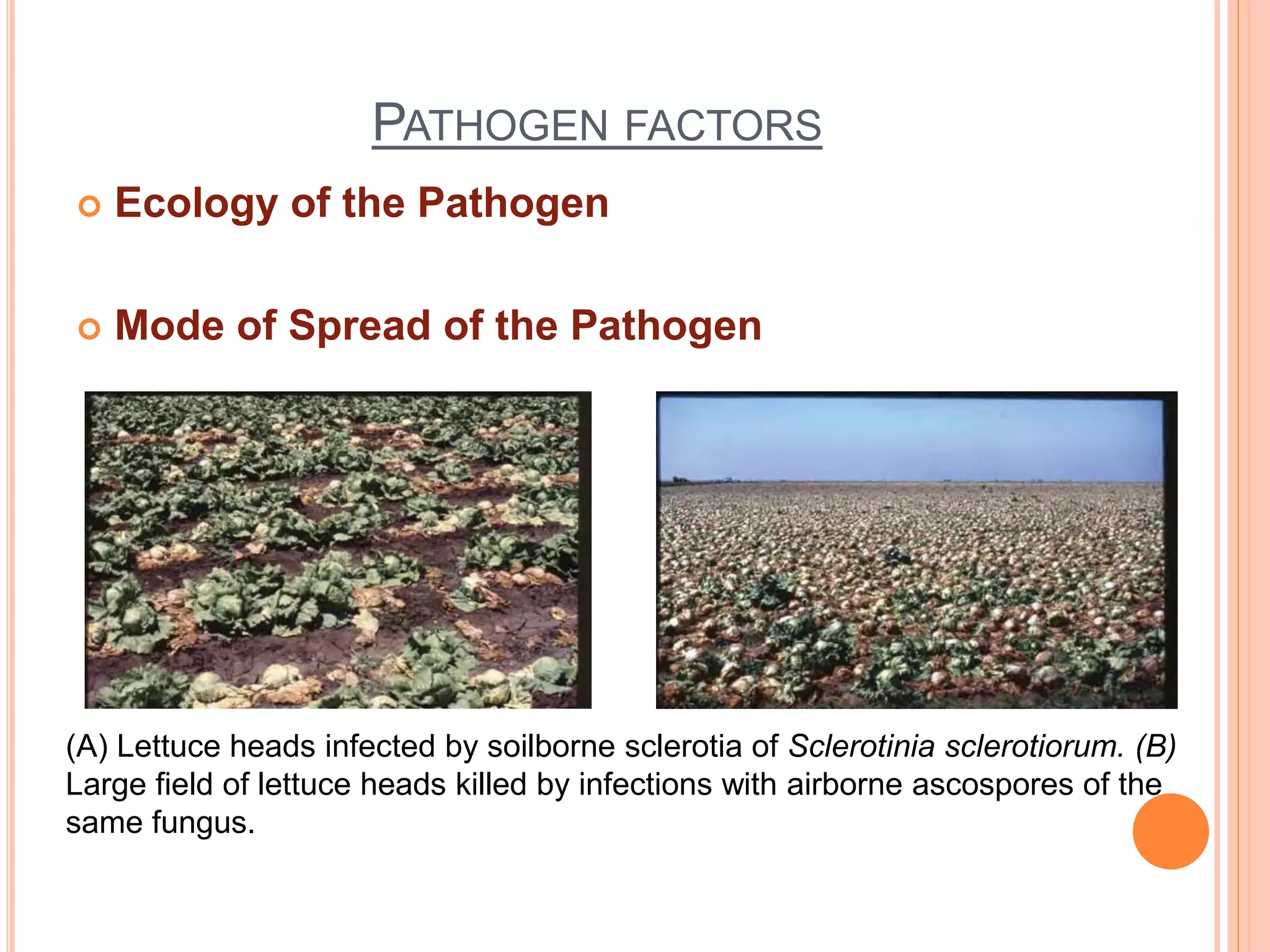 Epidemiology and plant disease forecasting | PPTX
