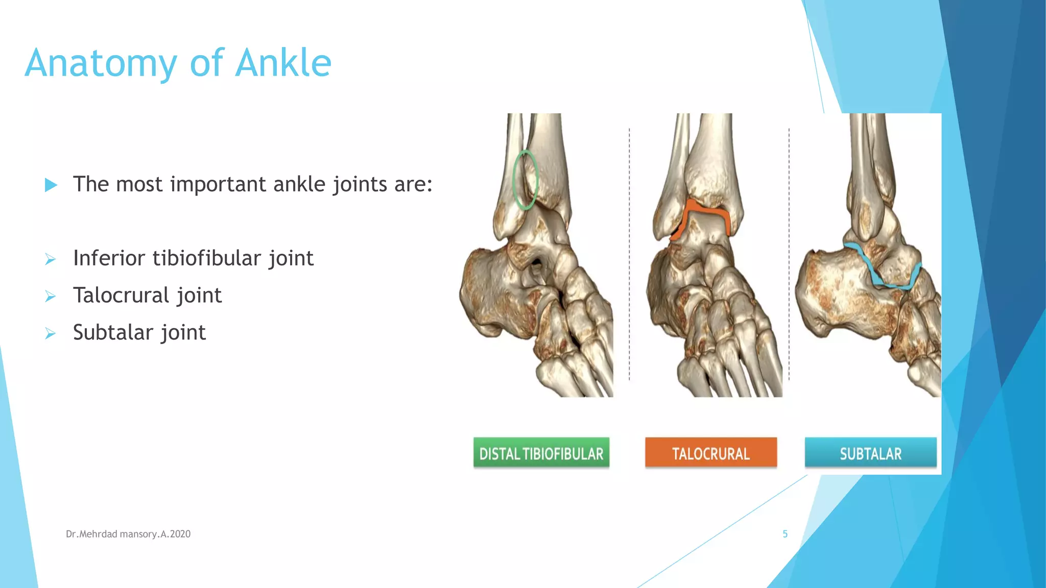 Epidemiology of Ankle Injury.pdf