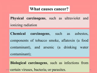 Epidemiology and Prevention of cancer | PDF