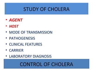 epidemiology of cholera | PPT