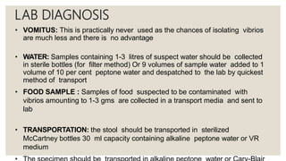 Epidemiology of cholera | PPTX