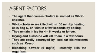 Epidemiology of cholera | PPTX