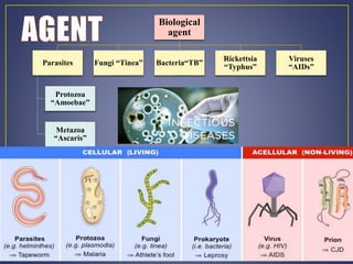 Epidemiology of communicable diseases | PPT