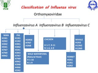 Epidemiology of H5:N1 infections in India: Trends of disease, spatial ...