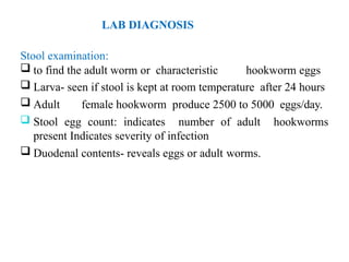 Epidemiology of hook worm infection.pptx
