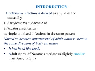 Epidemiology of hook worm infection.pptx