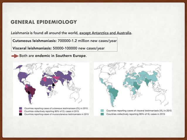 Epidemiology of Human Leishmaniasis | PDF | Infectious Diseases ...