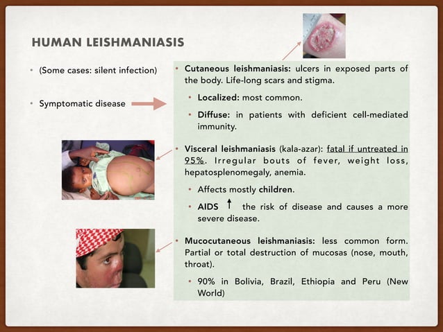 Epidemiology of Human Leishmaniasis | PDF | Infectious Diseases ...