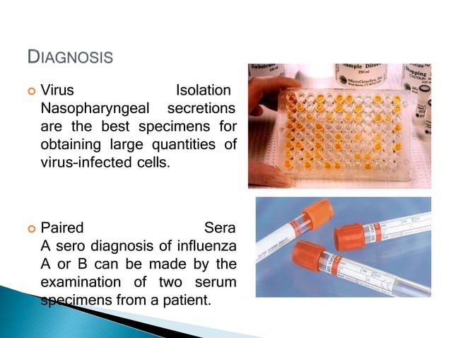 Epidemiology of influenza.pptx. .. | PPTX