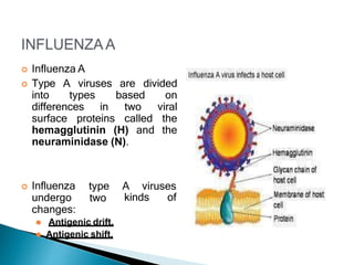 Epidemiology of influenza.pptx. .. | PPTX