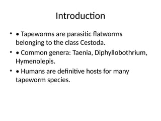epidemiology of intestinal infestion of tapeworm.pptx