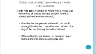 Epidemiology of kfd, brucellosis and leptospirosis | PPTX