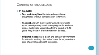 Epidemiology of kfd, brucellosis and leptospirosis | PPT