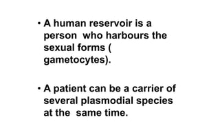 Epidemiology of malaria | PPTX