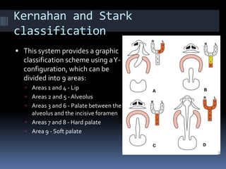 Epidemiology of Orofacial Clefts | PPTX