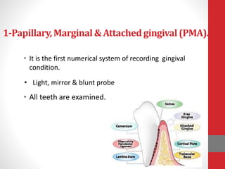 Epidemiology of periodontal disease ( main stream ) | PPT