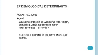 Epidemiology of rabies | PPTX