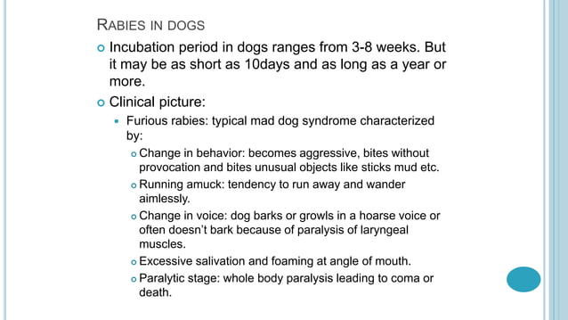 Epidemiology of rabies | PPTX