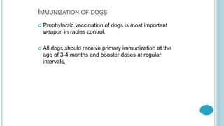 Epidemiology of rabies | PPTX
