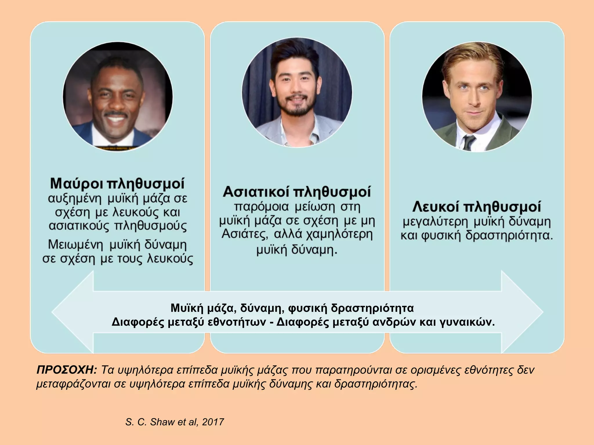 Epidemiology of sarcopenia | PPT