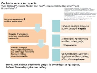 Epidemiology of sarcopenia | PPT